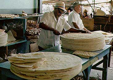 CAUTIVANDO: COMIDAS TIPICAS DEL ESTADO MIRANDA-VENEZUELA